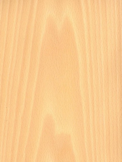 Beech Crown Cut - Losan Veneers - Palmer Timber