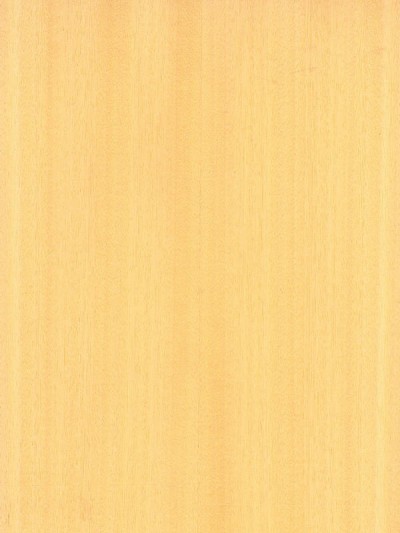Koto Quarter Cut - Losan Veneers - Palmer Timber