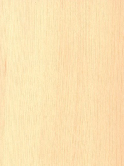 Maple Quarter Cut - Losan Veneers - Palmer Timber