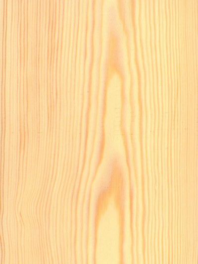 Valsain Pine Crown Cut - Losan Veneers - Palmer Timber